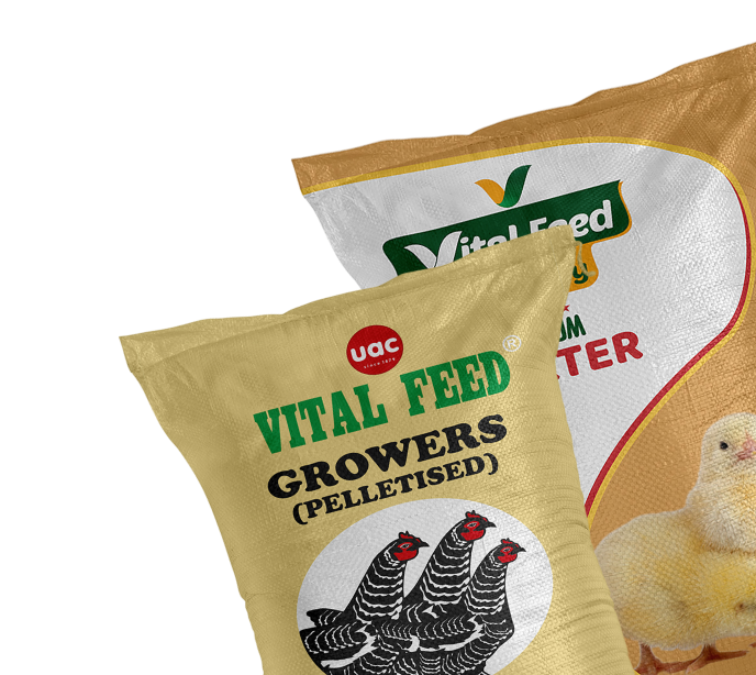 Grand Cereal Limited